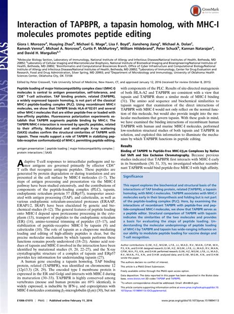 Pdf Interaction Of Tapbpr A Tapasin Homolog With Mhc I Molecules Promotes Peptide Editing
