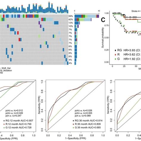 Predictive Models Of Survival Integrating Radiomics With Genomics