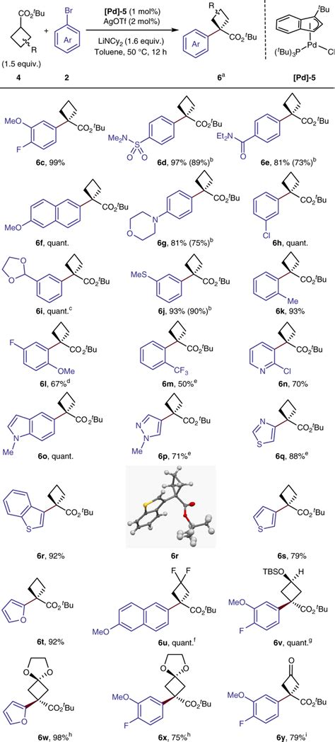Scope Of α Arylation Of Cyclobutyl T Butyl Esters Aisolated Yields