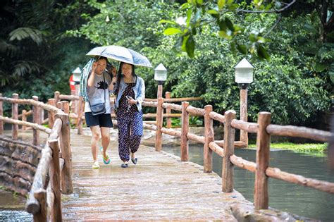 가족 시간 걱정 없는 걷고 있는 경로 공원 기쁨 기와 나뭇잎 녹지 드레스 랜턴 레인 샤워 레저 맑은 공기 모험 목조 다리 물웅덩이 미소 짓는