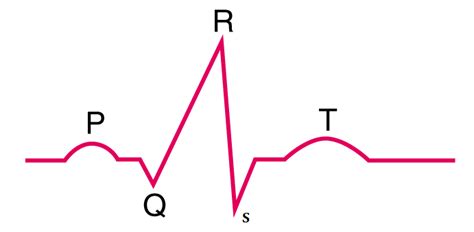 Ncert Solutions Class 11 Biology Chapter 18 Body Fluids And Circulation