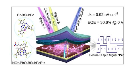Dual Band Efficient Self Powered Organic Photodetectors With Isotype