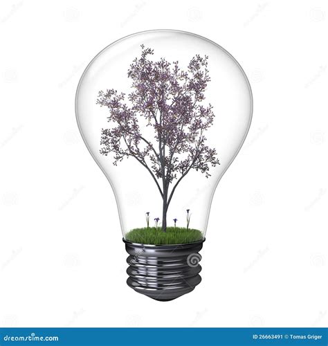 Blooming Tree Inside Lightbulb Stock Image Image 26663491