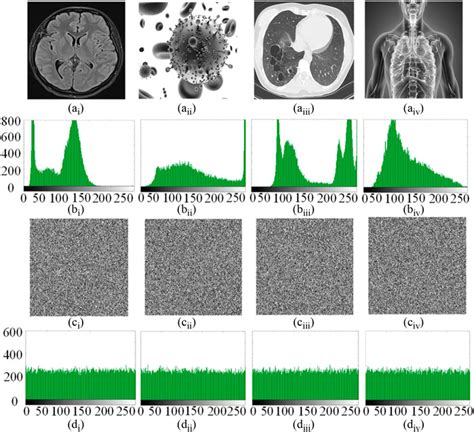 Frontiers A Novel Grid Multi Structure Chaotic Attractor And Its Application In Medical Image