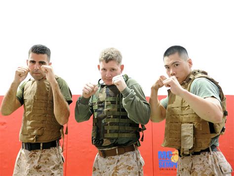 I Have Taken A Close Look At The American Marine Corps Fighting Technique MCMAP To Control