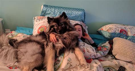 Cuddle Bugs Album On Imgur