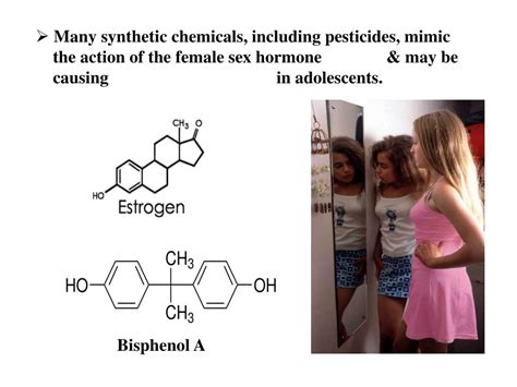Ppt Insecticides Powerpoint Presentation Free Download Id3283602