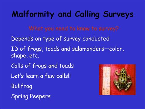 PPT Hamline University Graduate School St Paul Minnesota PowerPoint Presentation ID