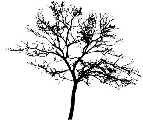 10 Tree Silhouettes PNG Transparent Background OnlyGFX Com
