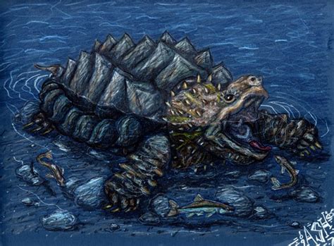 Alligator Snapping Turtle Drawing At GetDrawings Free Download