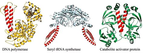 Quaternary Structure Vs Tertiary Structure Lecture 3 Proteins