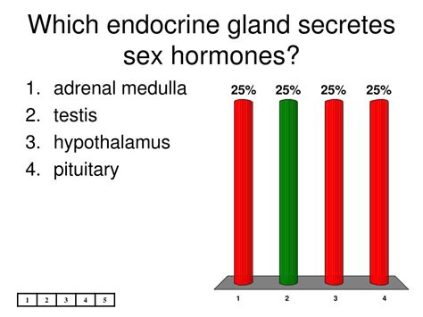 PPT The Endocrine System Is Made Up Of PowerPoint Presentation Free Download ID 314769