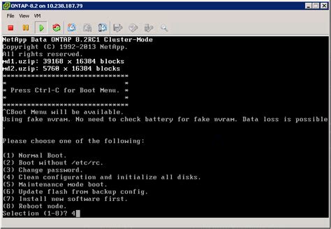Data Center On Cloud Netapp Cluster Mode Vsim Install Setup And Configure