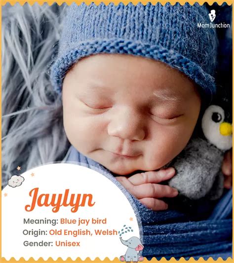 Jaylyn Name Meaning Origin And History A Complete Guide