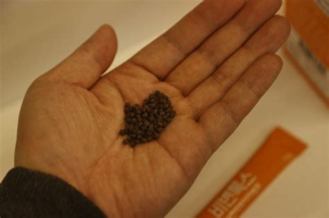 비변톡스 차전자피 식이섬유 영양제 리뷰 쾌변다이어트로 추천하는 변비에 좋은 음식 네이버 블로그