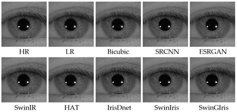 Algorithms Free Full Text An Iris Image Super Resolution Model Based On Swin Transformer And