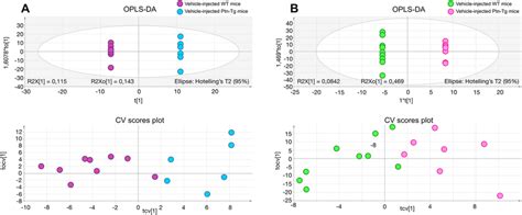 Opls Da Regression Models And Cross Validated Cv Score Plots Showing