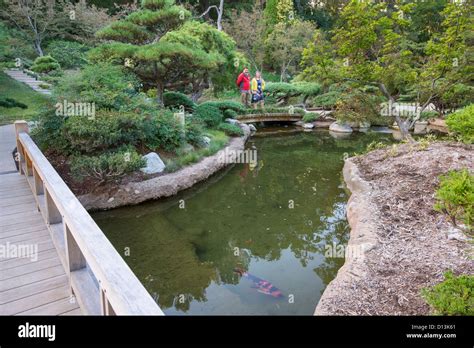 The Beautifully Renovated Japanese Gardens At The Huntington Library