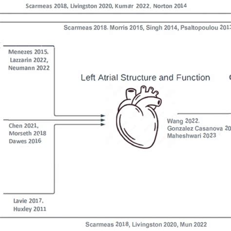 Left Atrial Structure And Function As A Potential Mediator Of The Download Scientific Diagram