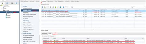 RDM Disks For VMware VSphere VMs How Why To Create Them