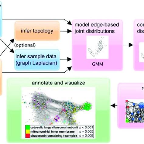 Flowchart Summarizing The Gmt Analysis Pipeline Download Scientific Diagram