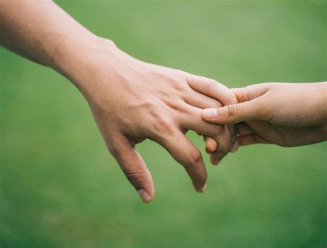 En La Uc Se Realizar El Xi Congreso Educaci N Cat Lica Sobre Educaci N Afectiva Sexual