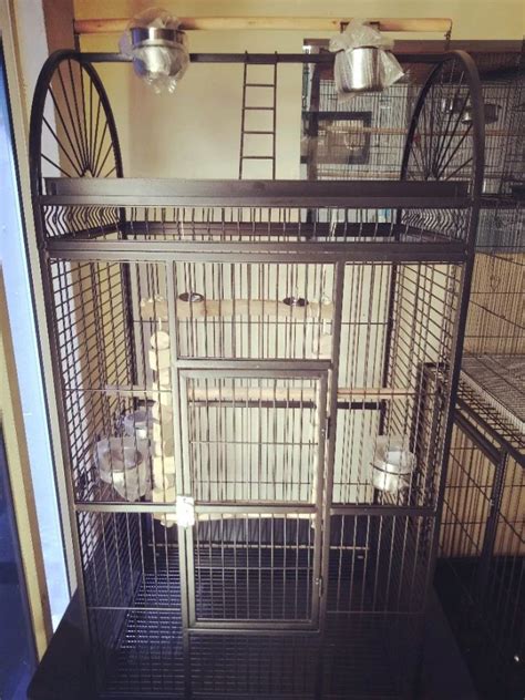Gi Bird Cage For Home Purpose At ₹ 16500 Piece In Ernakulam Id 27182242062