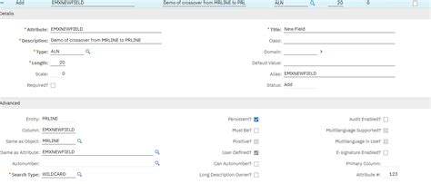 Database Configuration Application Designer And Domains Maximo Open Forum