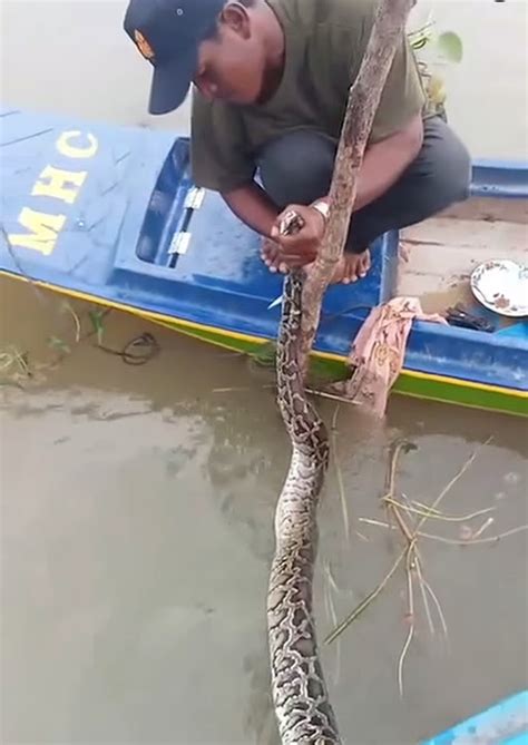 Python Part 2😃😃😃 Youtube