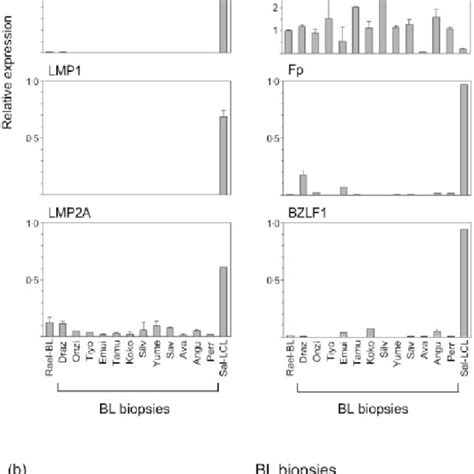 Ebv Gene Expression In Lcl And Bl Cell Lines A Relative