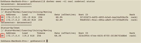 How To Build A Cassandra Cluster On Docker Gokhan Atils Technology Blog