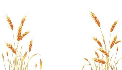 A Wheat Field Border Isolated On White Background Premium Ai