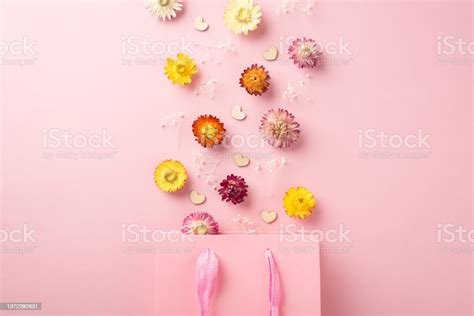 파스텔 핑크 고립 된 빈 배경에 가방 위에 흩어져 마음의 모양의 석고 필라와 색종이의 가지와 종이 쇼핑 핑크 가방의 상단 보기 사진 봄에 대한 스톡 사진 및 기타 이미지