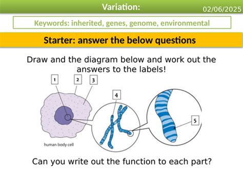 Gcse Biology Variation Teaching Resources