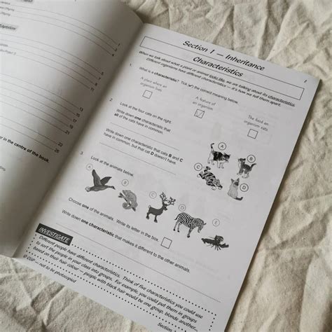 Ks2 Science Year6 Workout Evolutionandinheritance Hobbies And Toys Books And Magazines Textbooks On