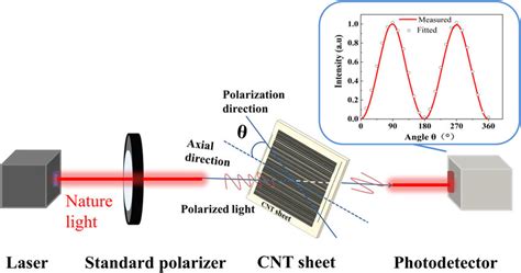 Schematic Illustration Of The Cnt Polarization Detection Method And