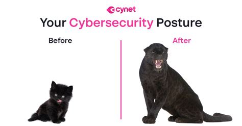Cybersecurity Cynet Security