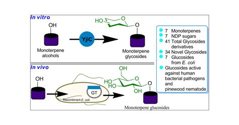 Monoterpenes