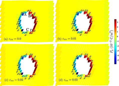 Ad Polarization Distribution For Hole Defect Case At Different Download Scientific Diagram