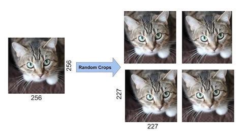 Alexnet Imagenet Classification With Deep Convolutional Neural Networks