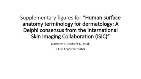 Pdf Human Surface Anatomy Terminology For Dermatology A Delphi