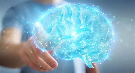 When Does The Brain Stop Developing Find Out Here