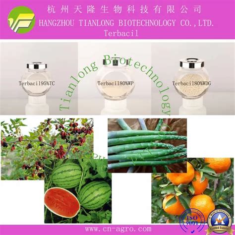 Herbicide Terbacil 80wp Cas 5902 51 2 5902 51 2 And Terbacil