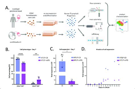 Schematic Presentation Of Analysis Workflow And Differentiation And Download Scientific Diagram