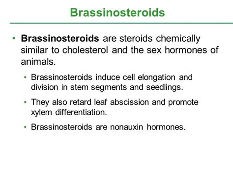 Plant Responses To Internal And External Signals Ppt Video Online Download