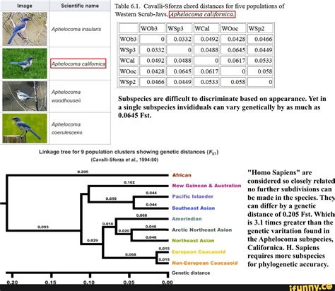 Scientific Name Table 61 Cavalli Sforza Chord Distances For Five