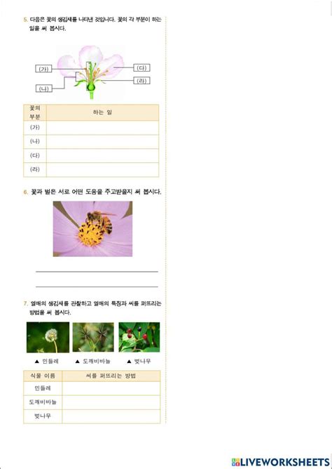 4 식물의 구조와 기능 Online Exercise For Live Worksheets