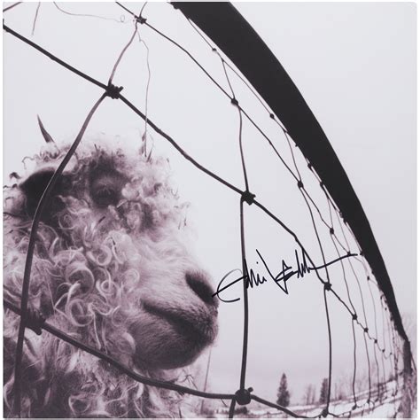 Eddie Vedder Into The Wild Album Cover