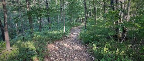 Eagle Rock Loop Conquering Arkansas Toughest Loop Trail