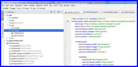 BugWorkShop 甲蟲工作室 Android Studio Android Studio NDK OpenCV 安裝和設置二十三